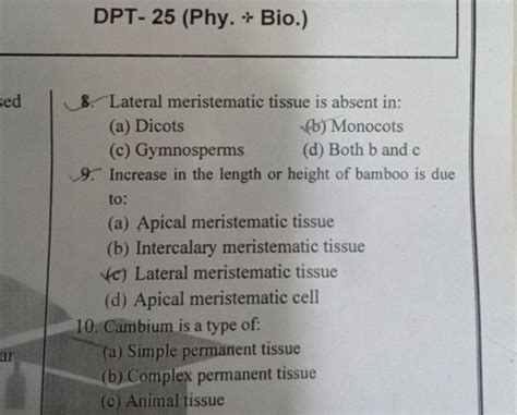 Dpt 25 Phy Bio8 Lateral Meristematic Tissue Is Absent Ina Dico