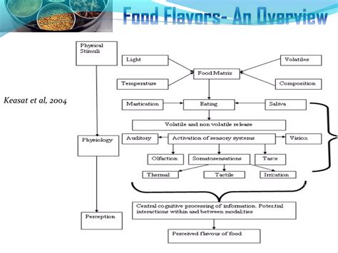 Flavors An Overview Pps