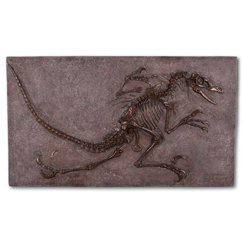 Velociraptor Fossil Jurassic Parks Real Velociraptor