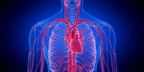 Combination Treatment Appears Optimal For High Risk Elevated Ldl