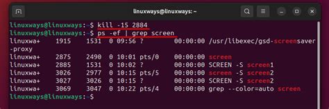 How To Kill A Screen Session In Linux Ruaue