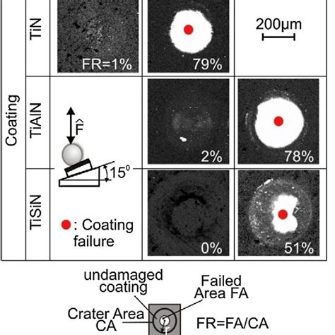 Sem Cross Section Micrographs Of The Investigated Coatings Download Scientific Diagram