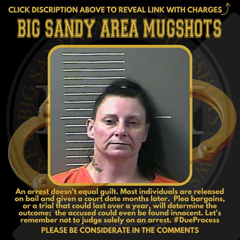 Pamela Camacho Big Sandy Area Mugshots News