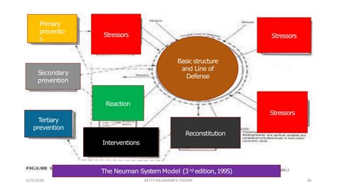 Betty Neumanns System Model Theory Pptx