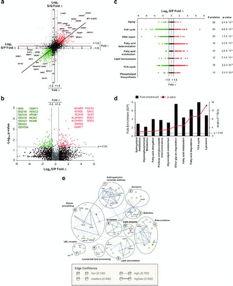 Proteomics Analysis Of Facs Enriched Senescent Cells Suggests