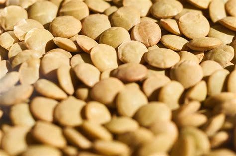 Linsen Kochen Wie Gesund Sind Linsen Der Naturkoch