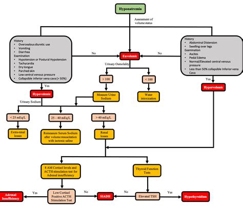 Algorithm For Diagnosis Of Hyponatremia In Patients With