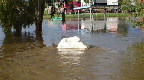 Warwick 2021 Flooding Gallery The Courier Mail