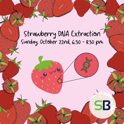 Youtube Strawberry Dna Extraction At Kimberly Bosch Blog