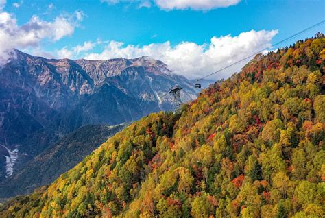 關於新穗高索道 【公式】高山でドライブ・観光におすすめのスポット｜新穂高ロープウェイ