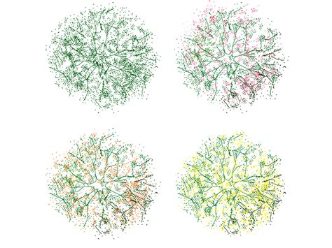 Autocad Trees Plan View Different Types Of Landscaping Trees And
