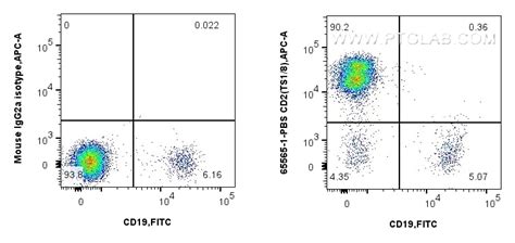 Cd2 Antibody 65565 1 Pbs Proteintech