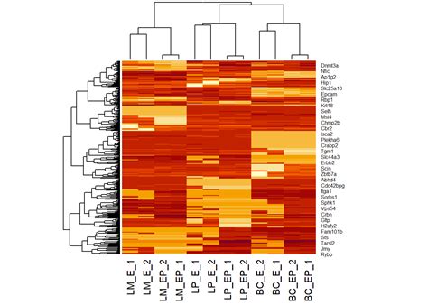 9 Heatmaps Learn R