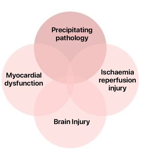 Management Of Post Arrest Patients Including Prognostication