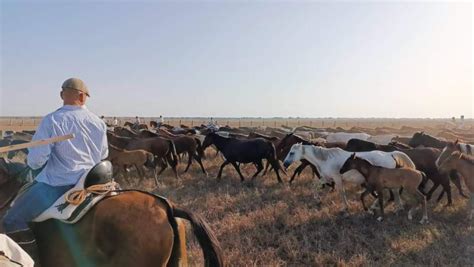 Y Que Pervive Miguel Angel Trenas