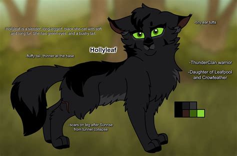 Warrior Cats Hollyleaf Hollyleaf And Leafpool Motivations Analyzing