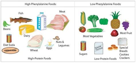 Pku Primer For Adolescents And Adults — New England Consortium Of