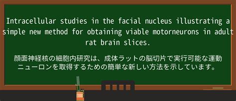 【英単語】intracellularを徹底解説！意味、使い方、例文、読み方
