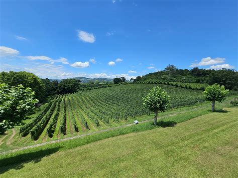 Ricardo Rocon Photography