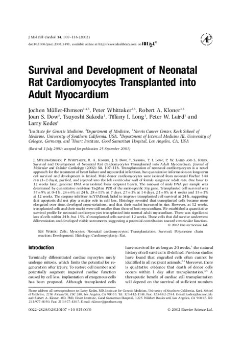Pdf Survival And Development Of Neonatal Rat Cardiomyocytes
