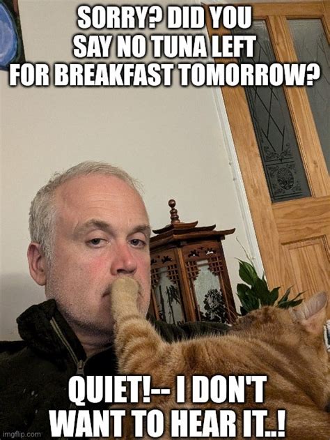 Quiet Please Lolcats Lol Cat Memes Funny Cats Funny Cat