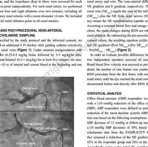 Angiogram Of The Renal Artery And Vein For Selective Blood Sampling
