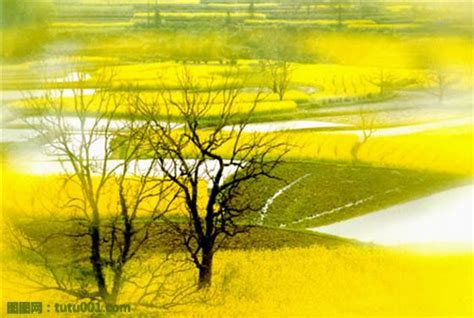 （新）《乡土中国》精读