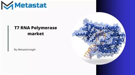 Ppt T7 Rna Polymerase Market Powerpoint Presentation Free Download