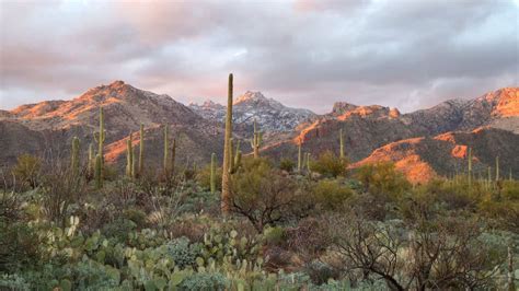 23 Insanely Beautiful Places In Arizona You Must Visit How Many Have