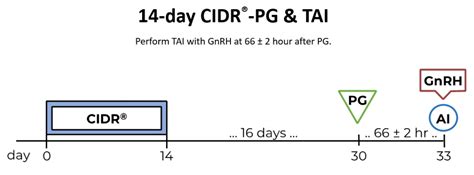 Heifer Protocolsfixed Time Ai Beef Reproduction Task Force