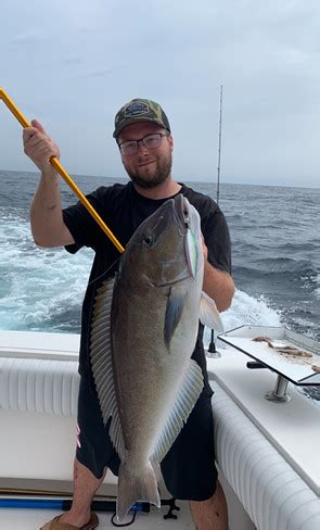 Blueline Tilefish Angler Andrew Reier Caught A 33 Bluelin Flickr