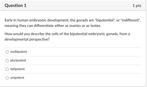 Solved Early In Human Embryonic Development The Gonads Are