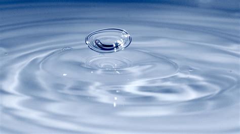 Expansion Of A Fermentation Plant For Enzyme Manufacturing Neste