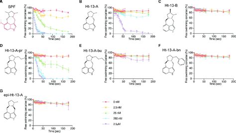 Structure Activity Relationships Of Spf And Related Compounds As