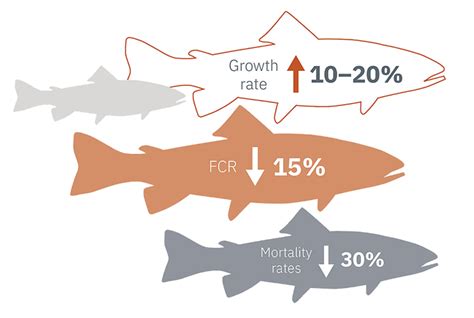 Prebiotics A Pathway To Achieving Optimal Fish Health Feed