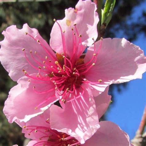 Taryn Morrison Website Designer Self Employed Linkedin