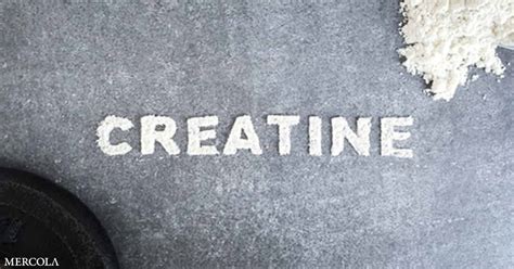 Exploring The Advantages Of Creatine For Bodily And Psychological Well