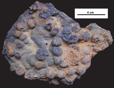 Ferricrete Fragment From Site 45 Download Scientific Diagram