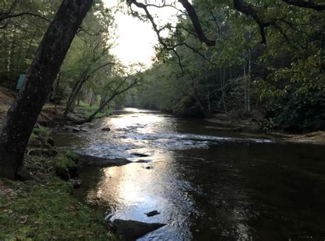 Little River Cabin Sparta North Carolina Glamping Hub