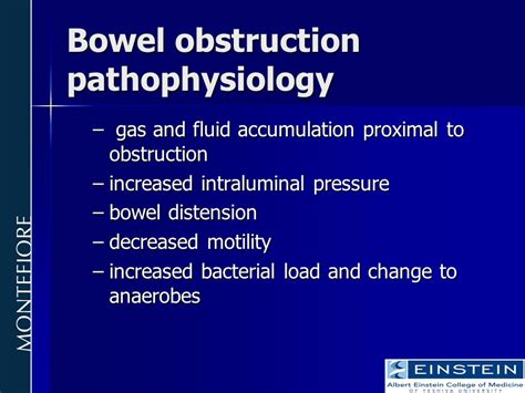 Crohns Disease And Other Diseases Of The Small Bowel Ppt Video