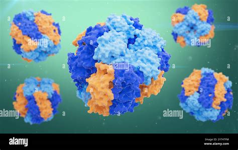 Illustration Of The Ribulose 1 5 Bisphosphate Carboxylase Oxygenase Rubisco Enzyme Structure
