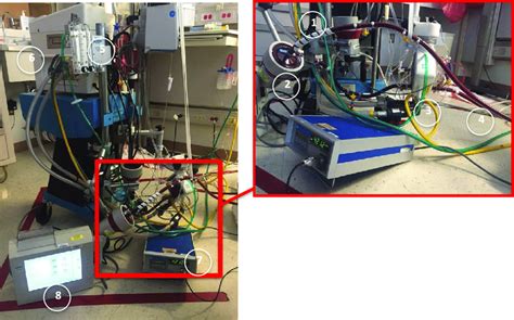 Ecmo Circuit Components And Flow Flow Through The Ecmo Circuit Starts