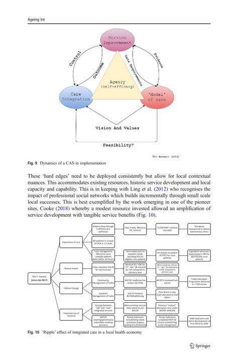 Pdf A 10 Step Framework To Implement Integrated Care For Older Pdf A 10 Step Framework To Implement Integrated Care For Older