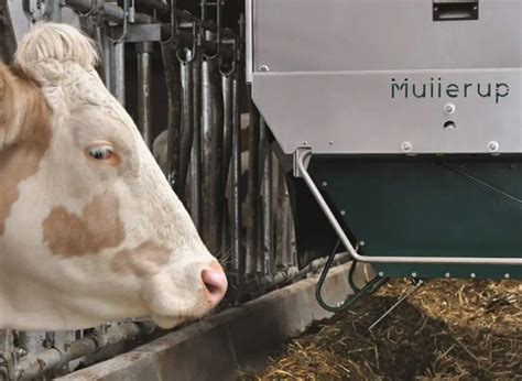 Automated Feeding Systems Feeding Technology Zzzac