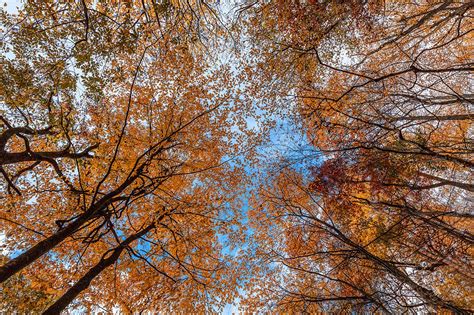 How To Use Perspective In Landscape Photography Composition