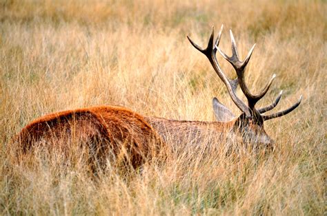 Uk Stephanie Sammann Nature And Travel Photography