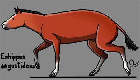 Eohippus By Denerdpaleoarts On Deviantart