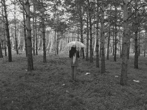 99000 Sad Forest Pictures