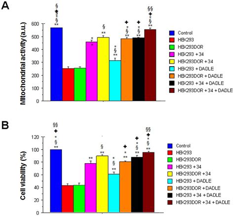 Measurement Of Mitochondrial Activity And Cell Viability In Human