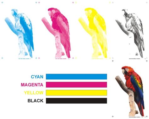 Color Separation For Screen Printing Rgb To Cmykpantone Cmyk Art